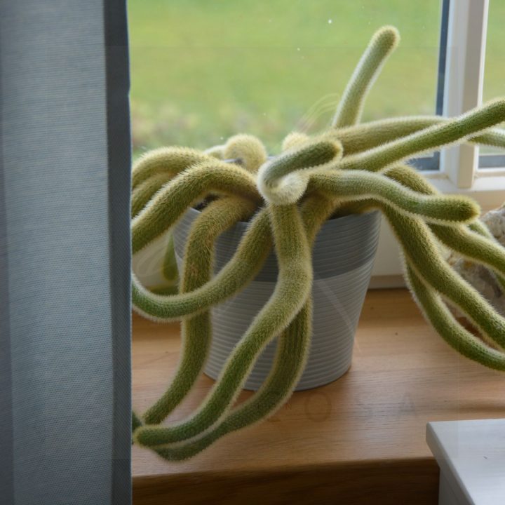 Zēna istabas interjers jūrnieku stilā. Lielvārde - STRECOSA Design ...